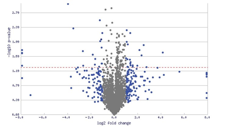 Encontrando o Golden Batch — Murabei